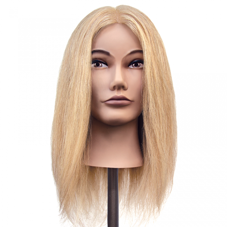 Human Hair Mannequin Heads - Pivot Point International