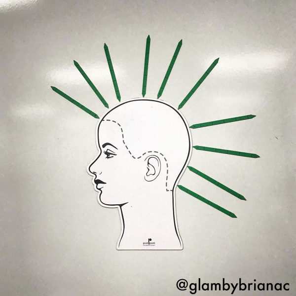 Blank Head Diagram Blank Face Template | TPT
