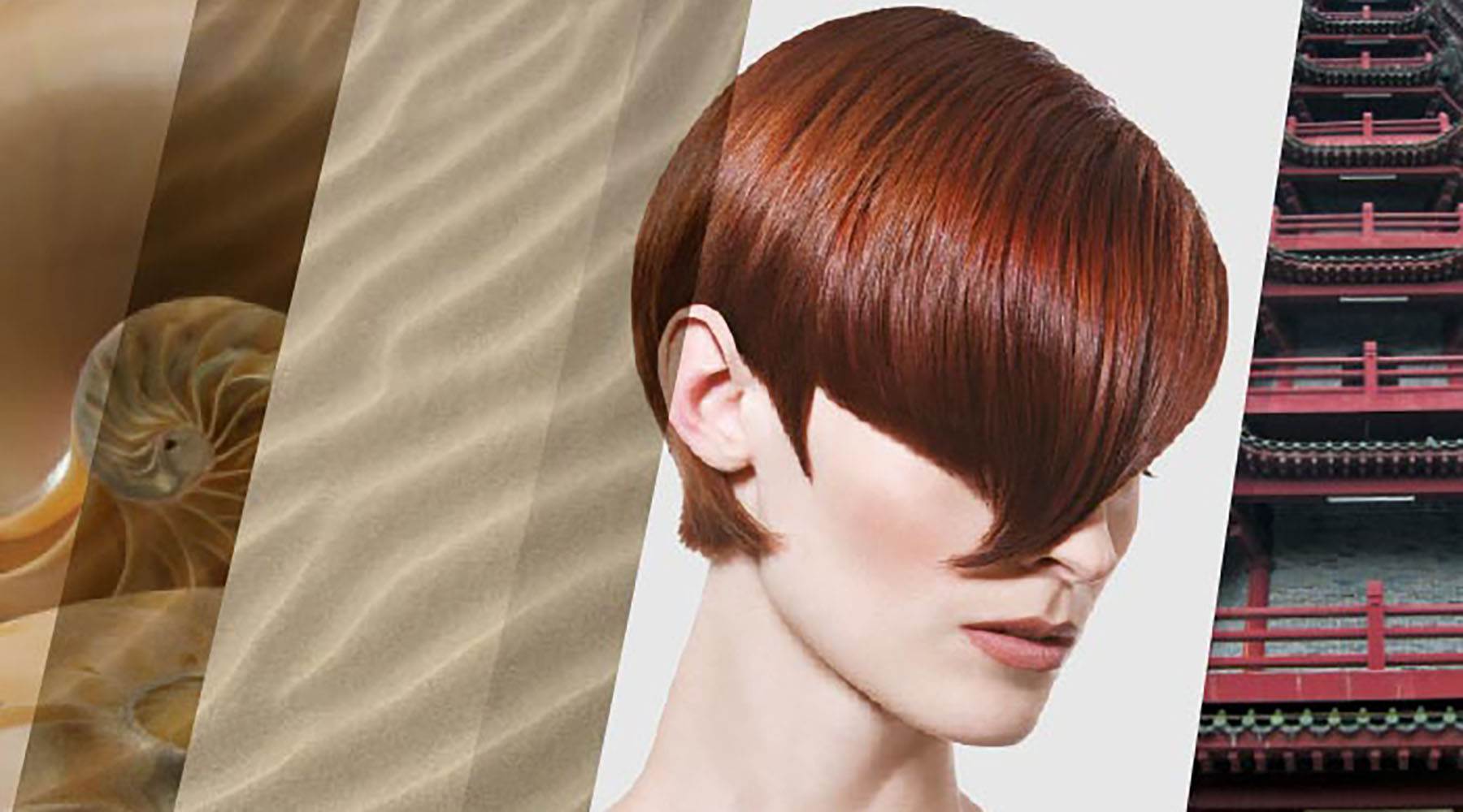 Fundamentals: Cosmetology - Pivot Point International - Pivot Point ...